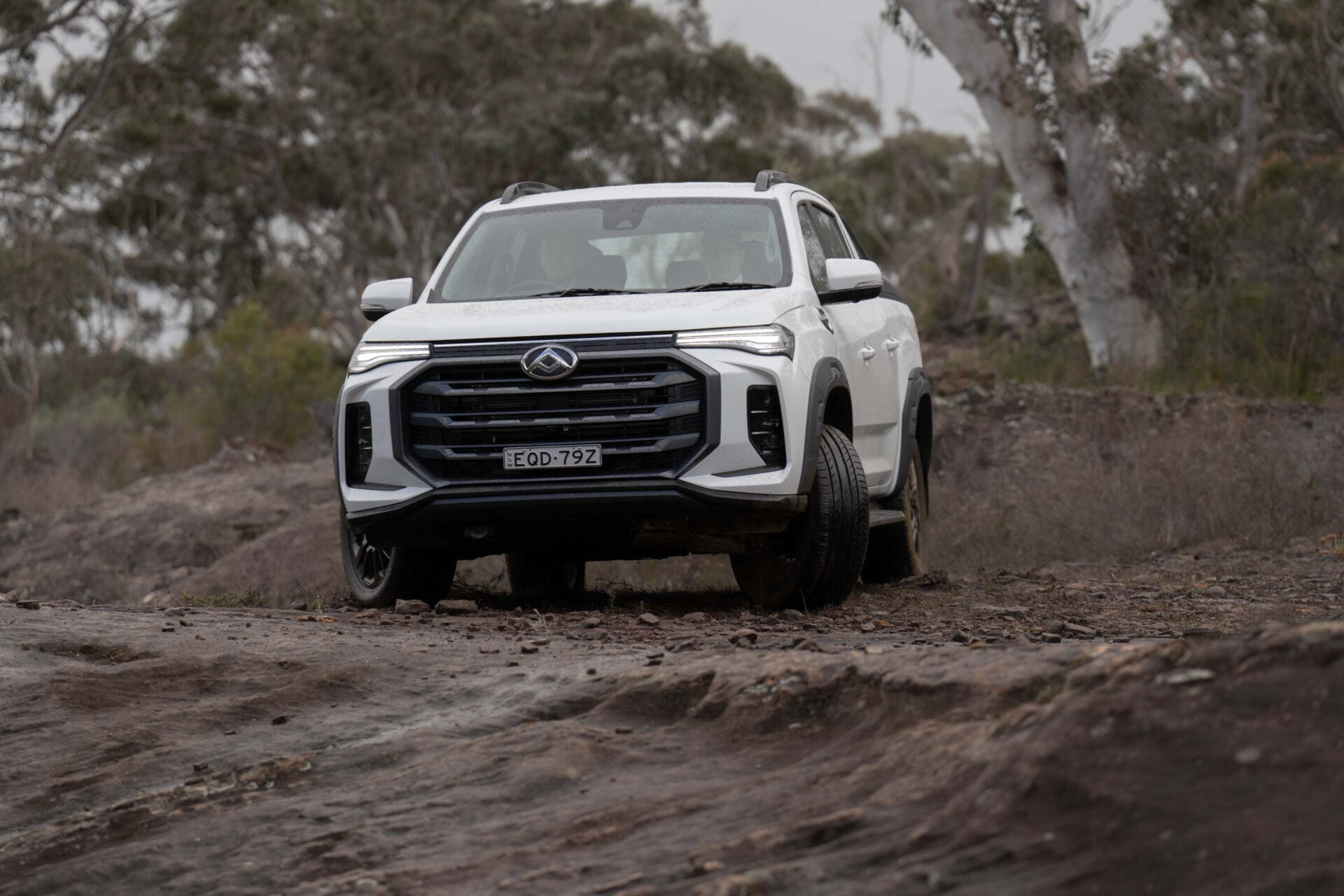 LDV | Prices, Reviews & Specifications