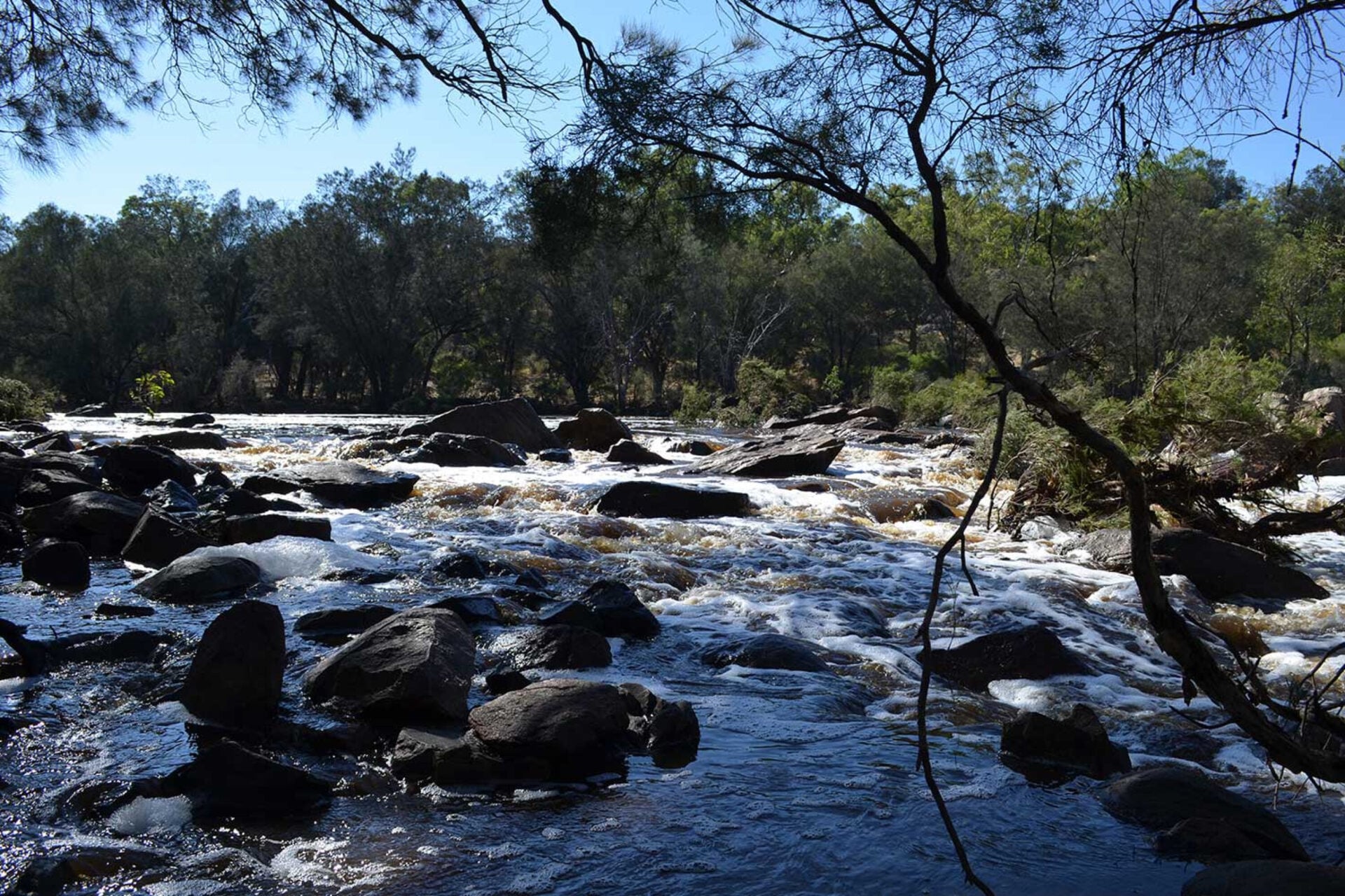 Perth Escapes: Walyunga National Park
