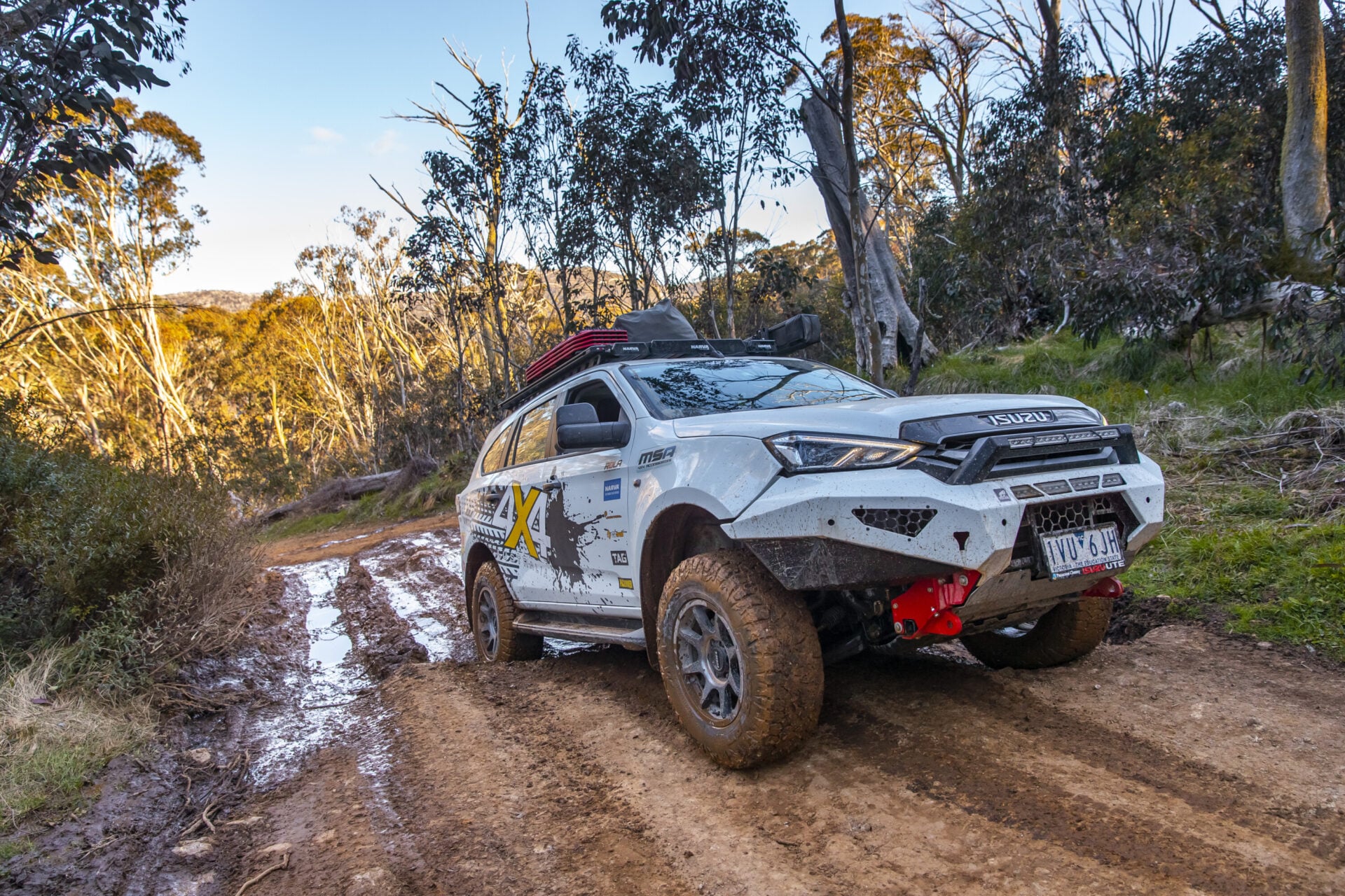 Grays Auctions – Car and 4X4 Auctions