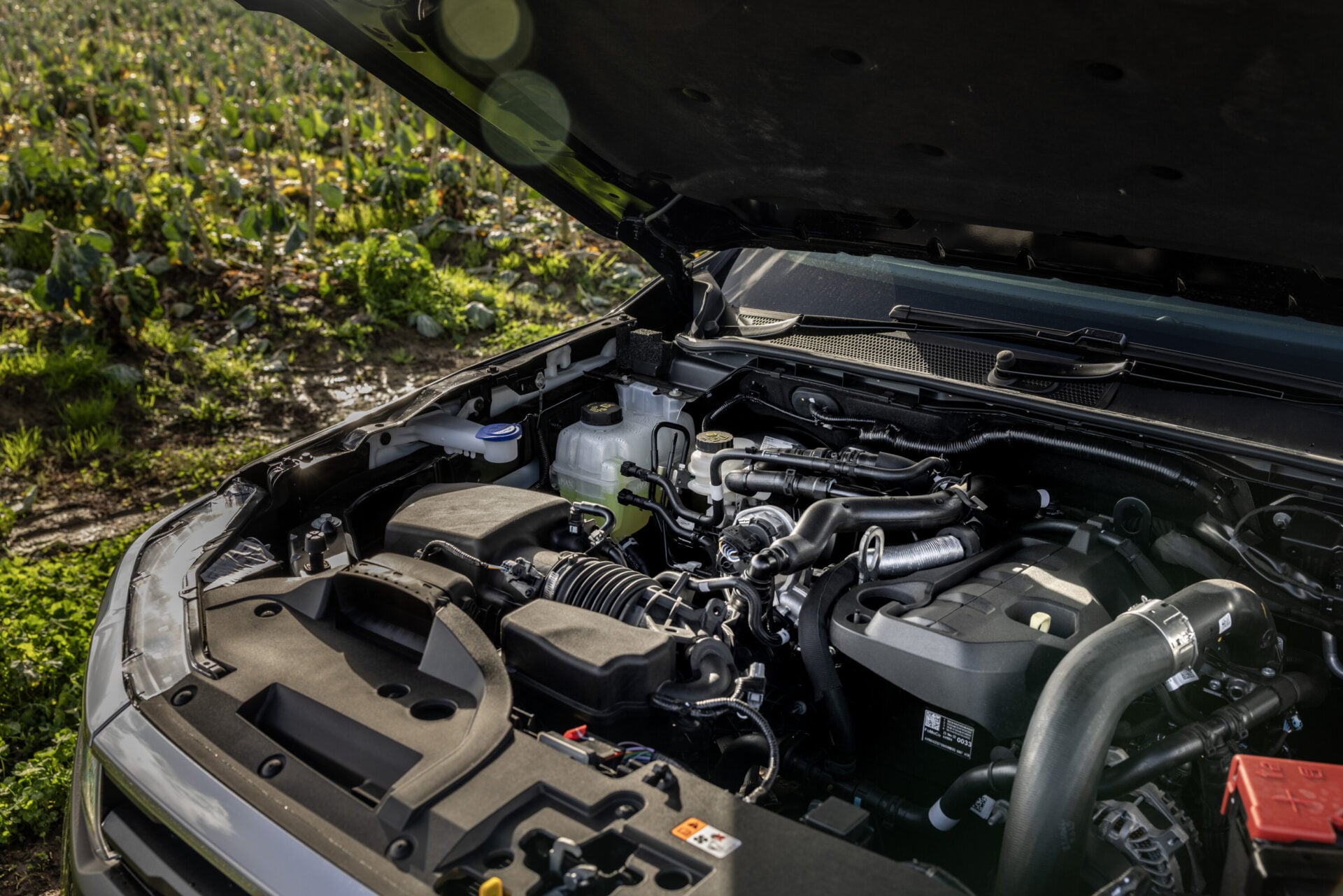 2023 Volkswagen Amarok review: Australia’s best dual-cab?