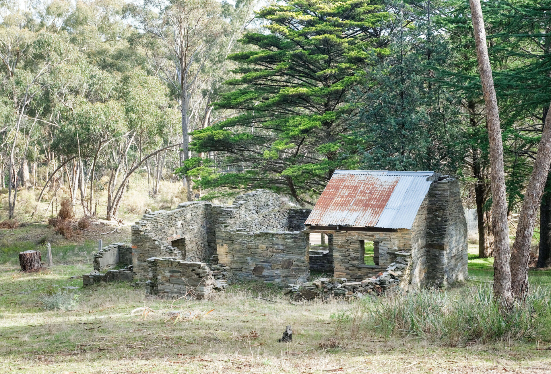4x4 tour of Castlemaine