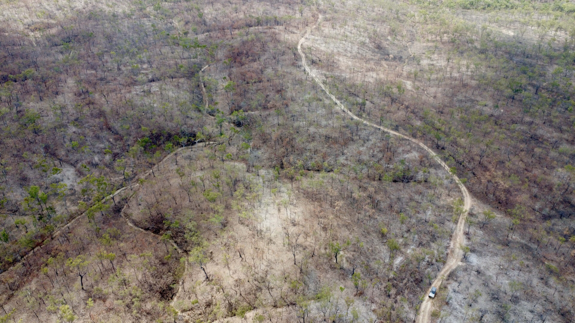 Hunting for gold in Maytown, Cape York