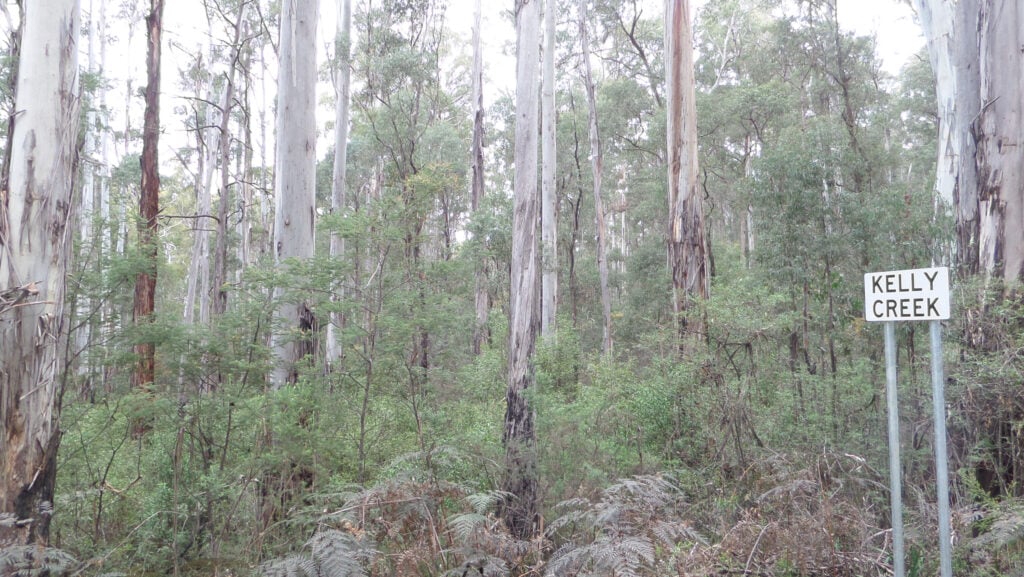 Tracking the trail of Ned Kelly through north-east Victoria