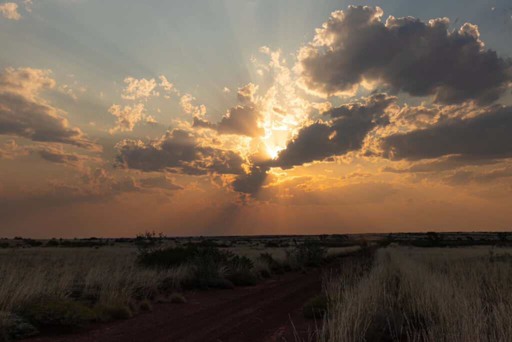 Touring the remote Nyangumarta Highway in the Great Sandy Desert