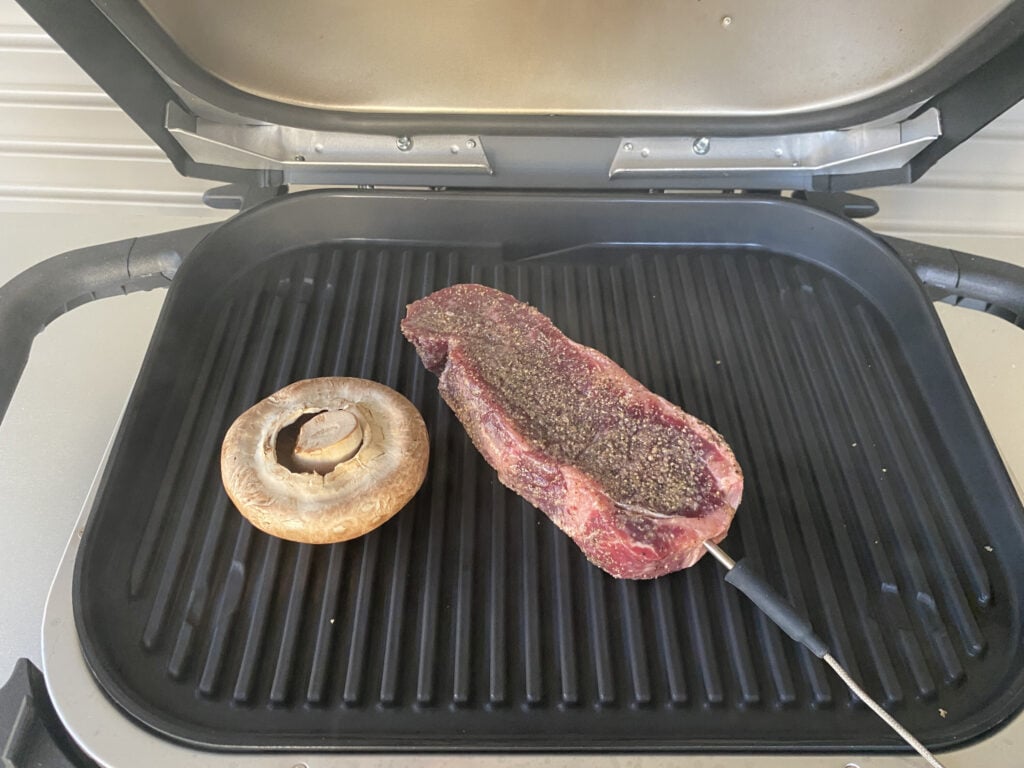 Ninja Woodfire Electric BBQ Grill & Smoker review