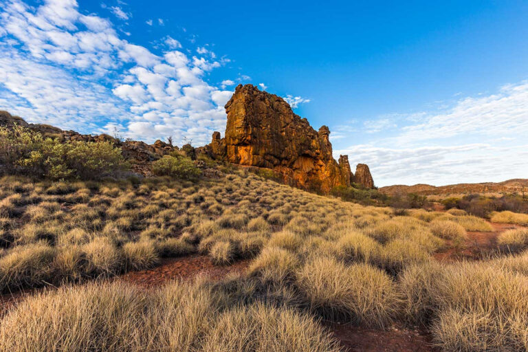 Binns Track (Mt Dare to Gemtree), NT: 4x4 travel guide