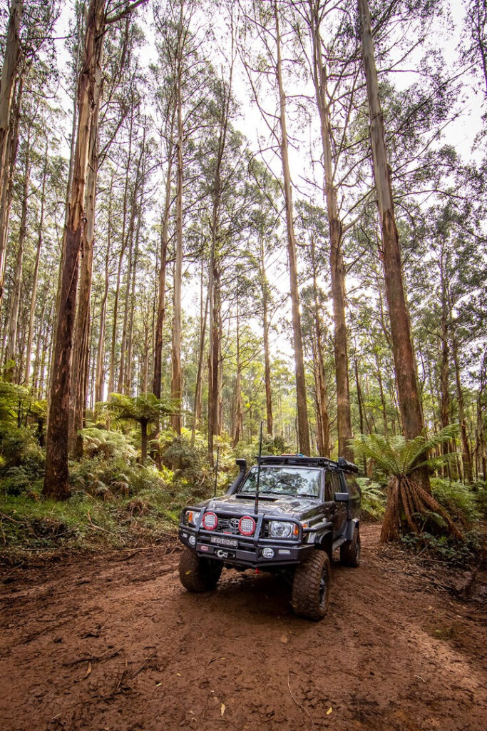 Custom "Mighty 79" Toyota LandCruiser 79