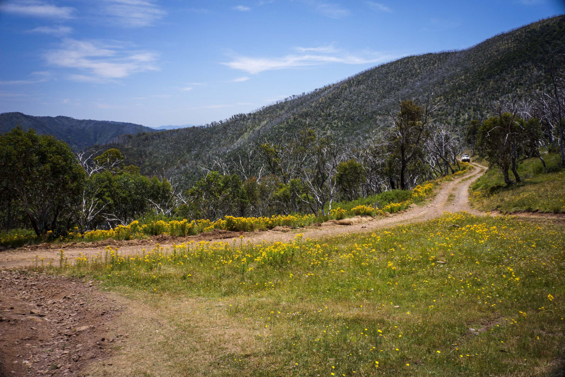 Touring to the heart of the Victorian High Country