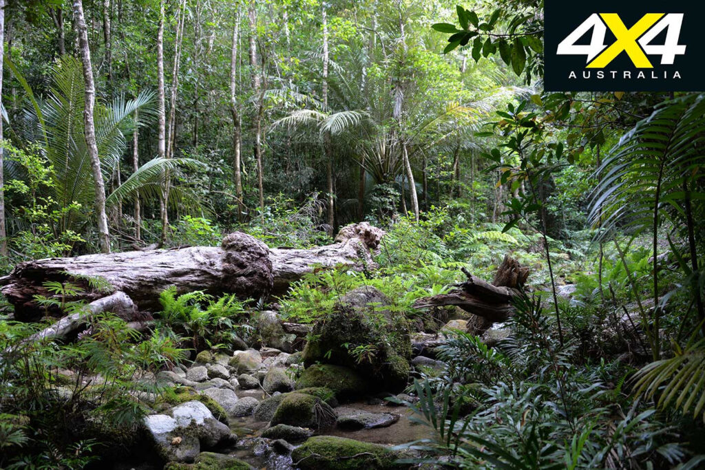 Mount Lewis National Park, QLD: 4x4 travel guide