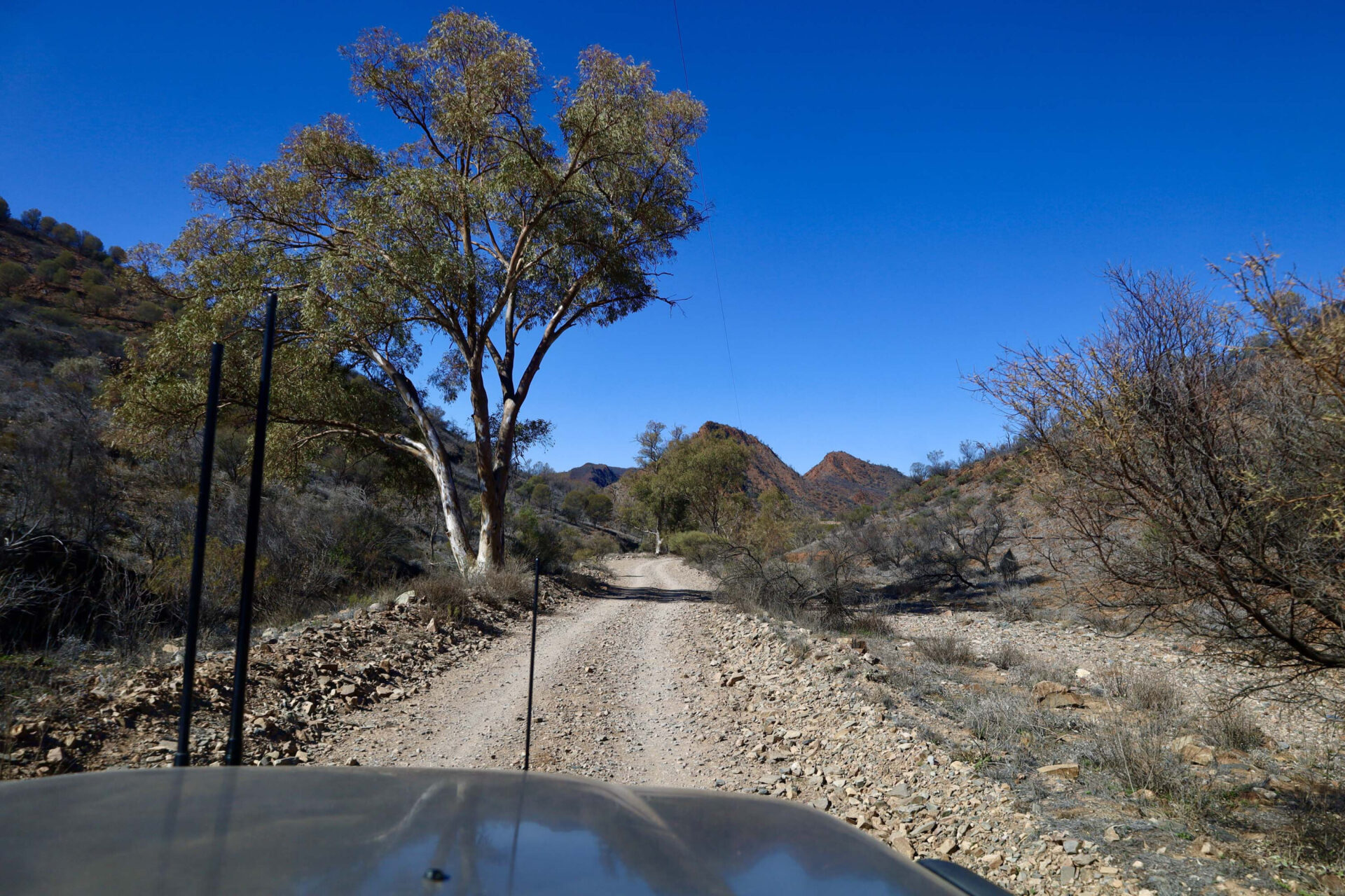 Mount Freeling Track, from Lyndhurst to Arkaroola