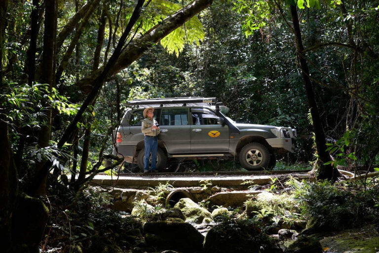 Mount Lewis National Park, QLD: 4x4 travel guide