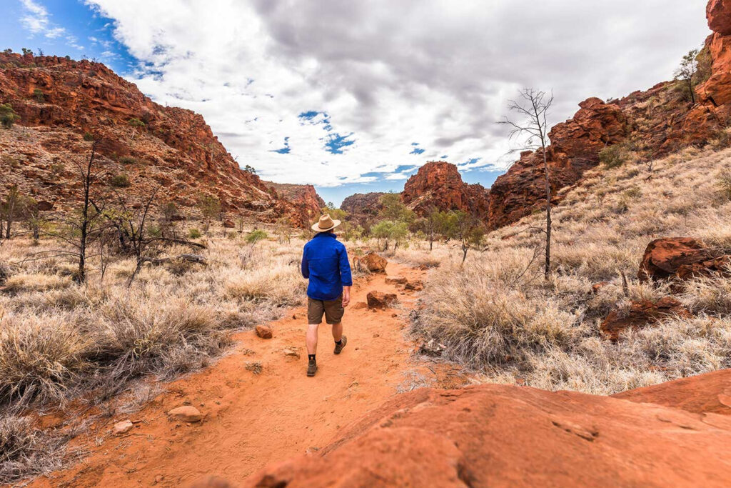 Binns Track (Mt Dare to Gemtree), NT: 4x4 travel guide