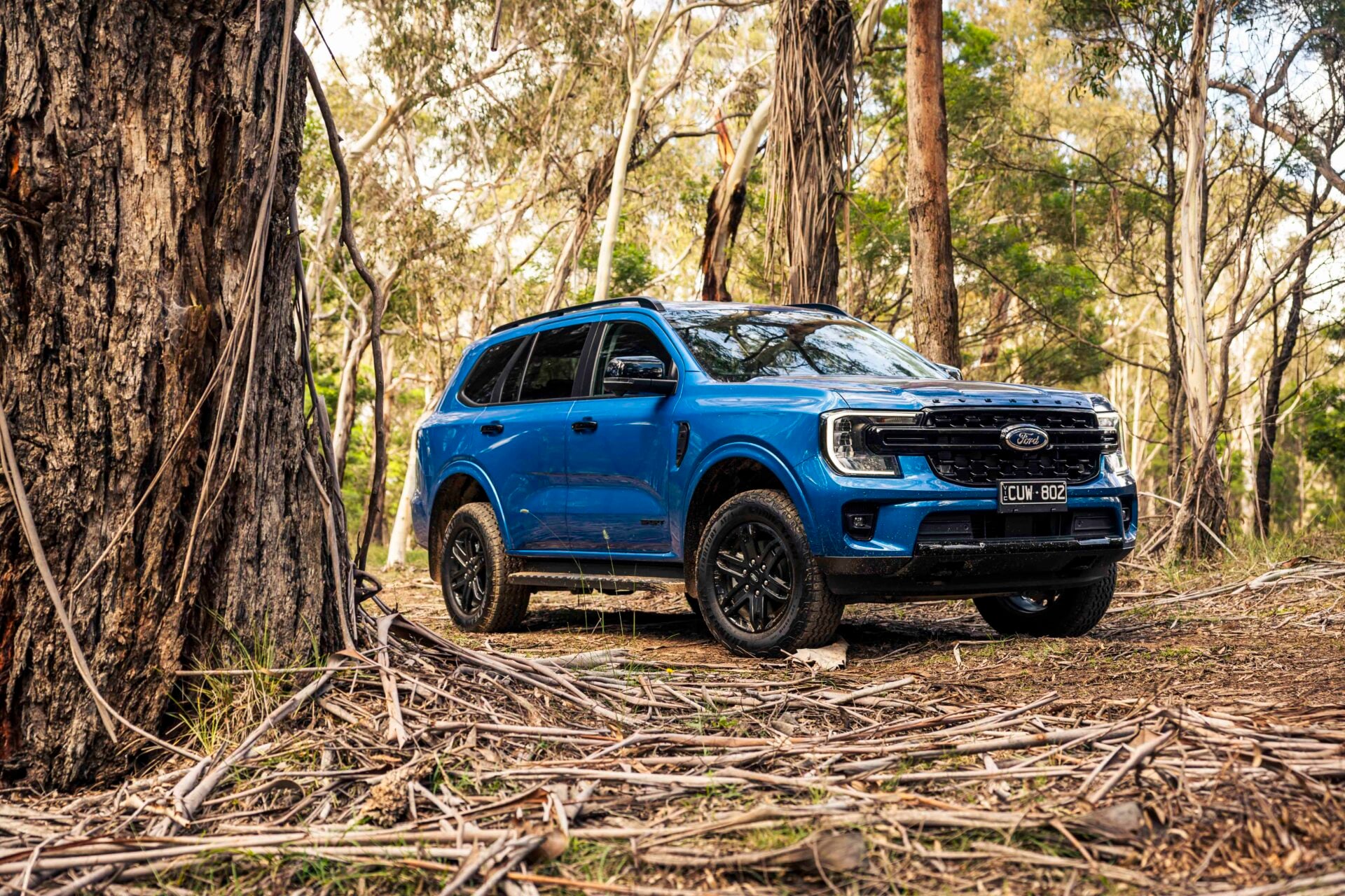 Ford Everest | Price, Reviews & Specifications