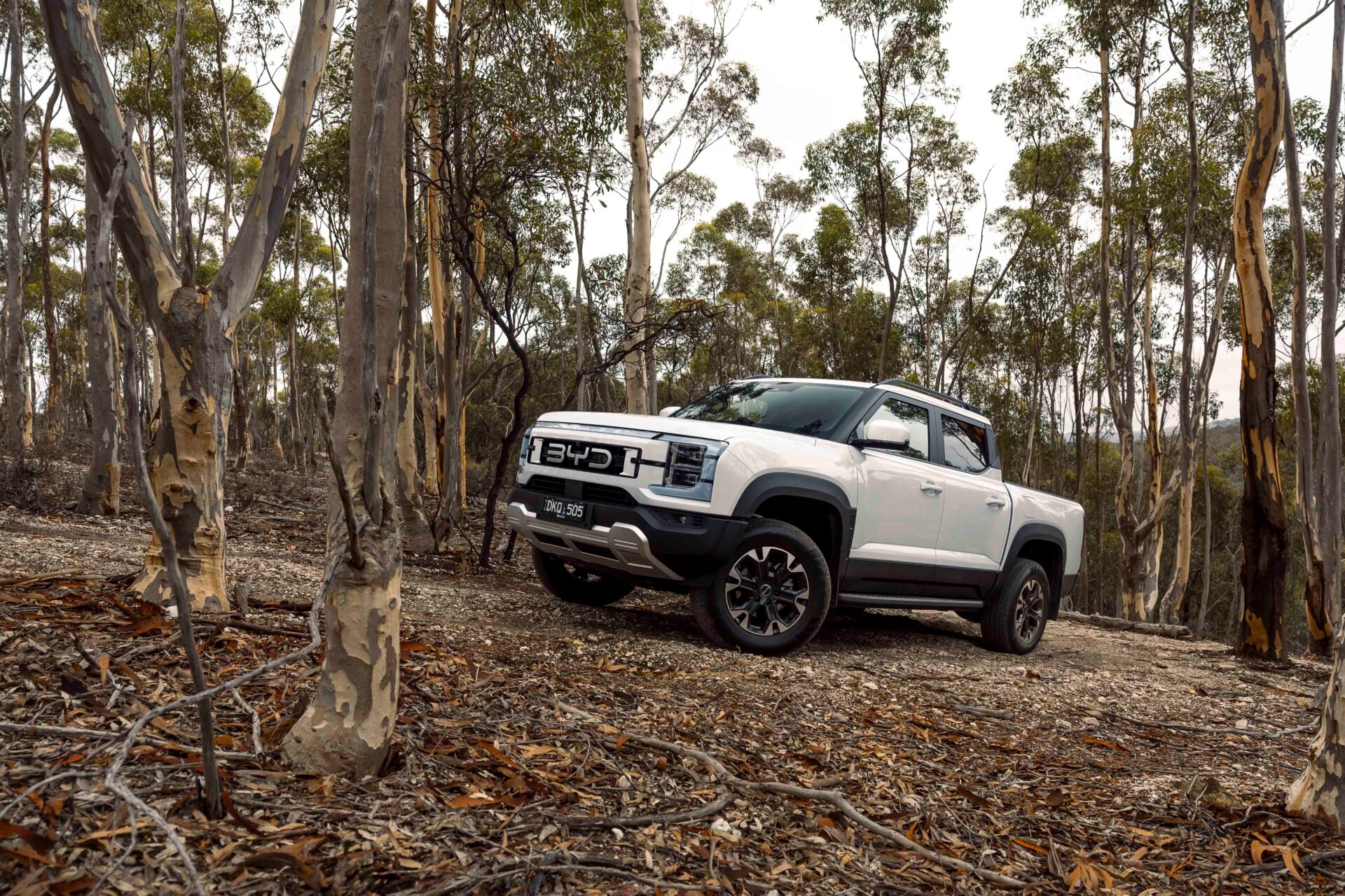 BYD Cars Australia | Models, Prices & Reviews