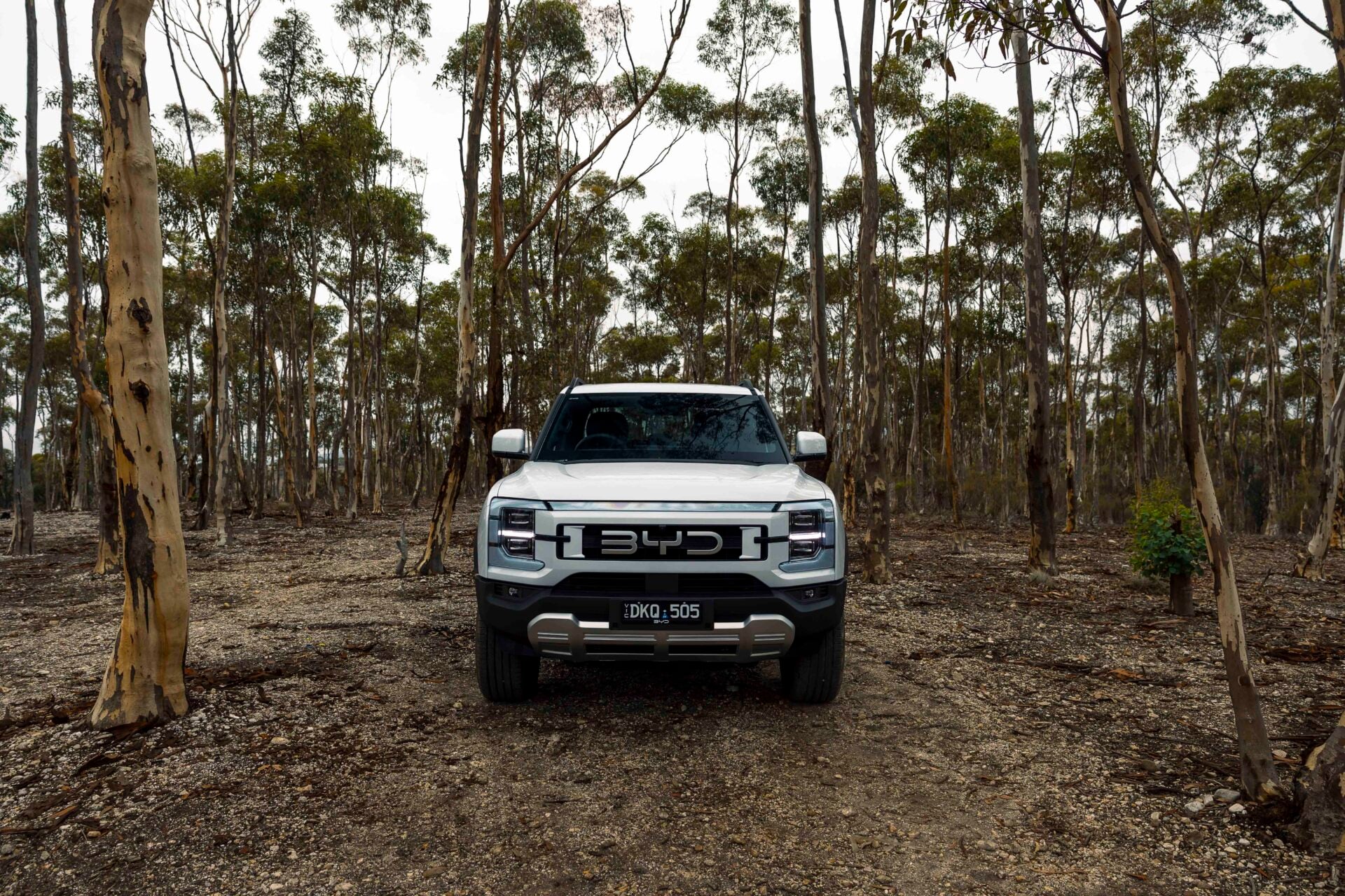 2025 BYD Shark 6: Pricing and specifications