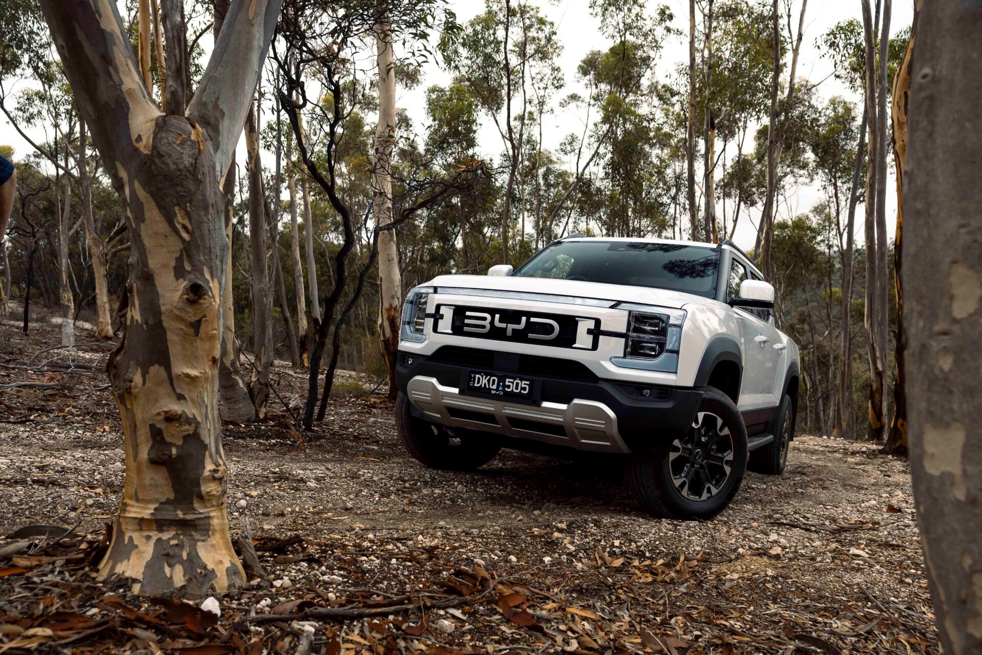 BYD Shark | Price, Reviews & Range