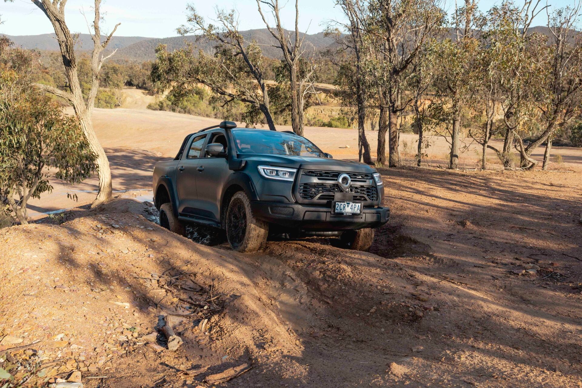 GWM | Models, Reviews & News