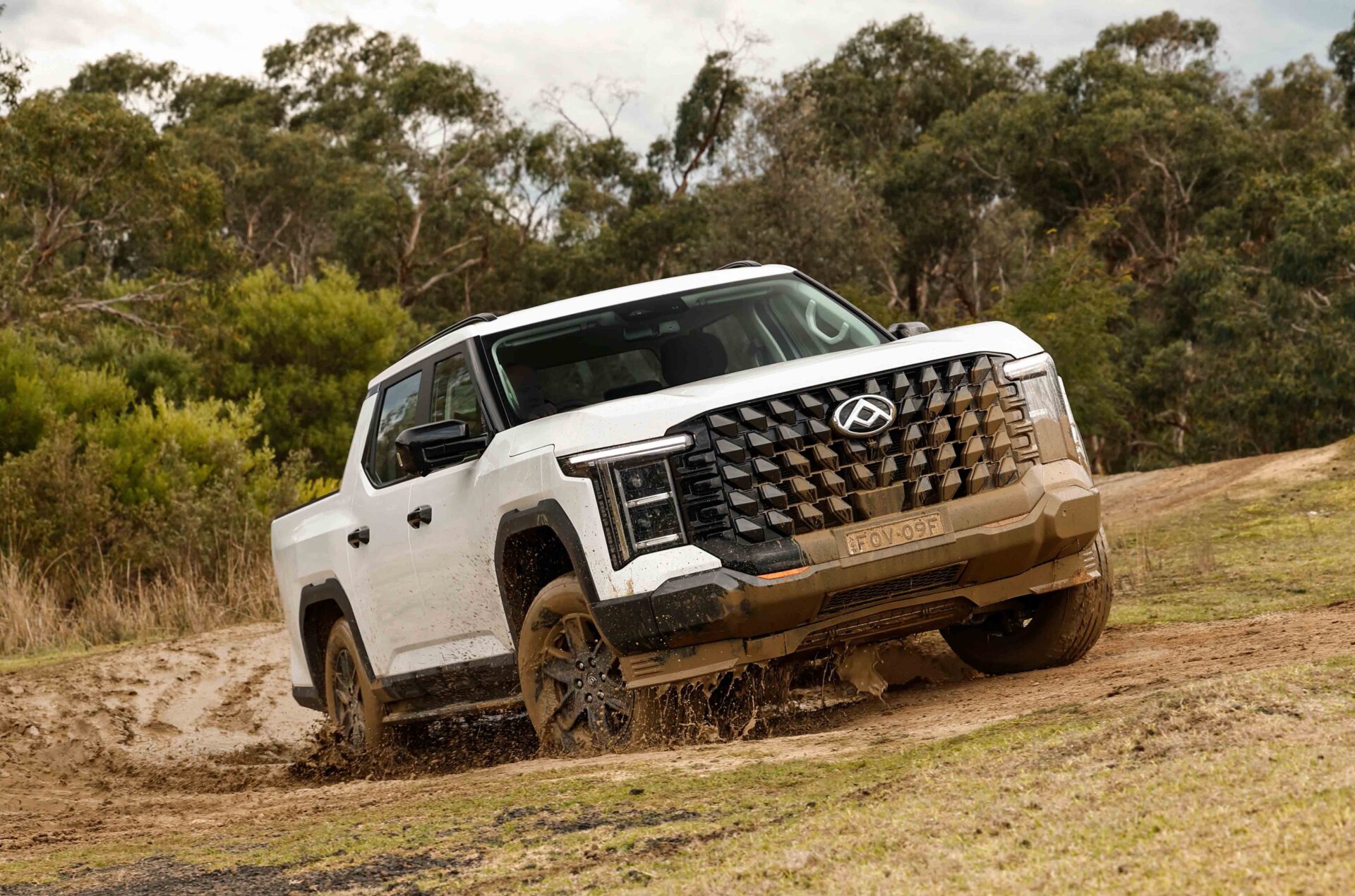 LDV | Prices, Reviews & Specifications