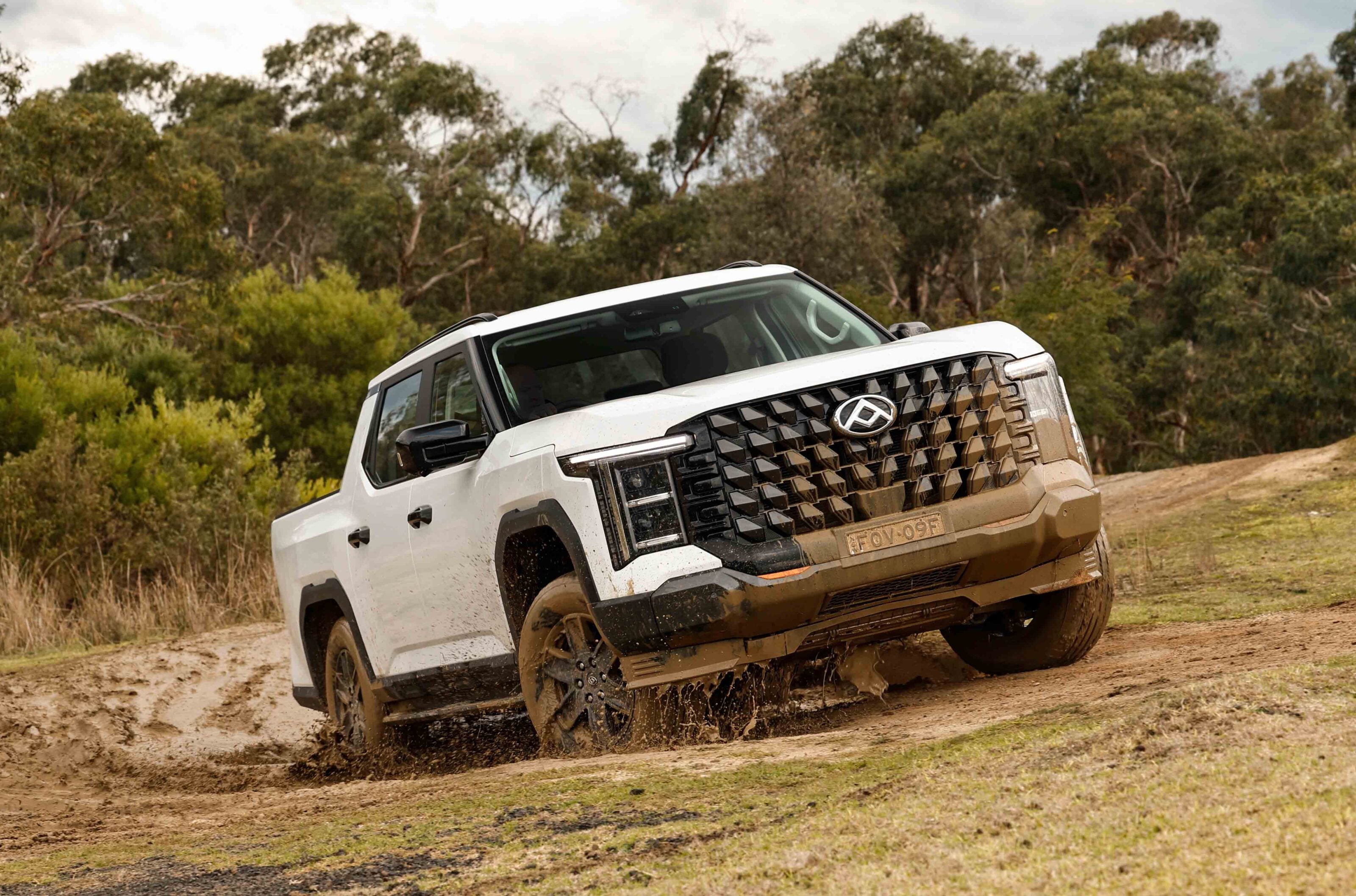 LDV Terron 9 Origin 2025 Rreview