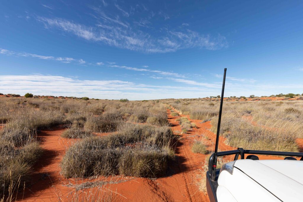 Driving the Colson Track: A remote Simpson Desert adventure