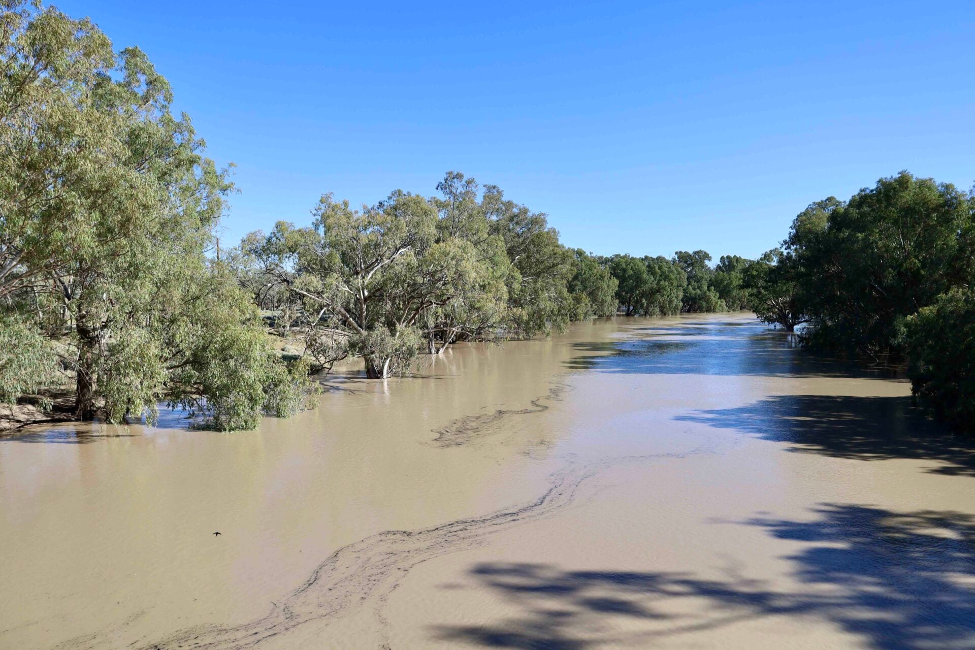 Exploring the Darling River: A road trip through outback NSW