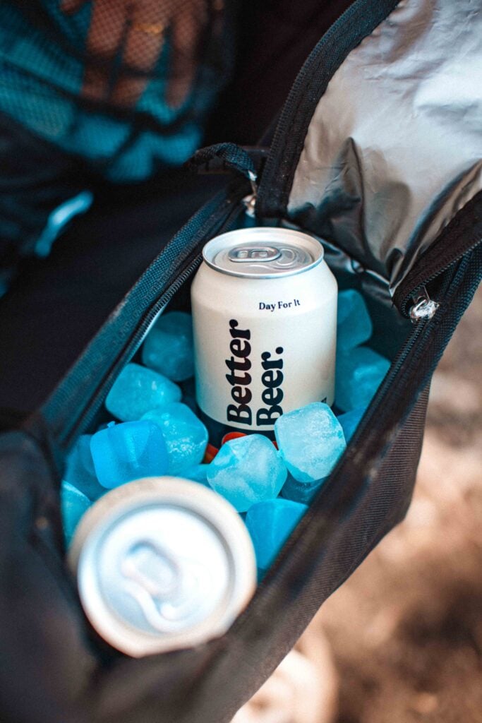 Ezee Freeze reusable ice cubes: Our review of the essential Esky addition